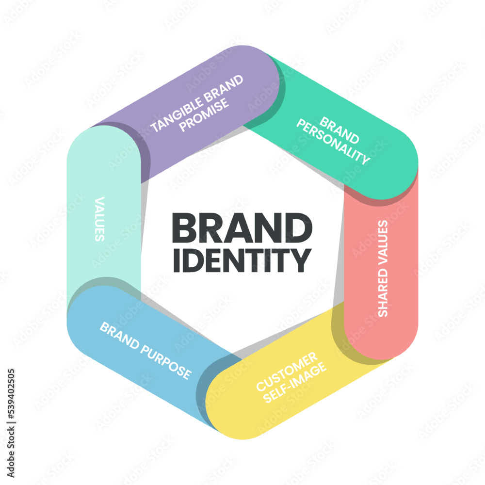 Brand identity infographic vector is digital marketing concept in 6 ...