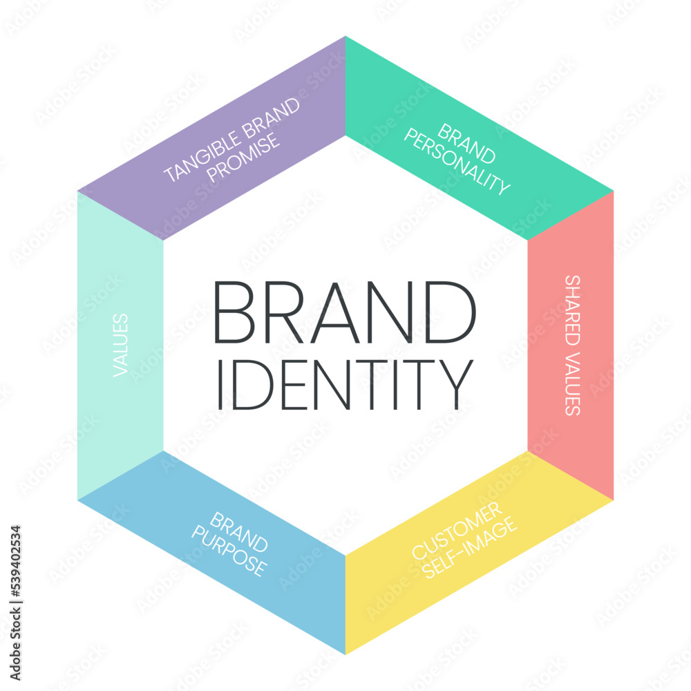 Brand identity infographic vector is digital marketing concept in 6 ...