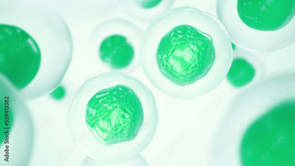 Chloroplast eukaryotic cell animation under the microscope. Green microscopic formation in a ...