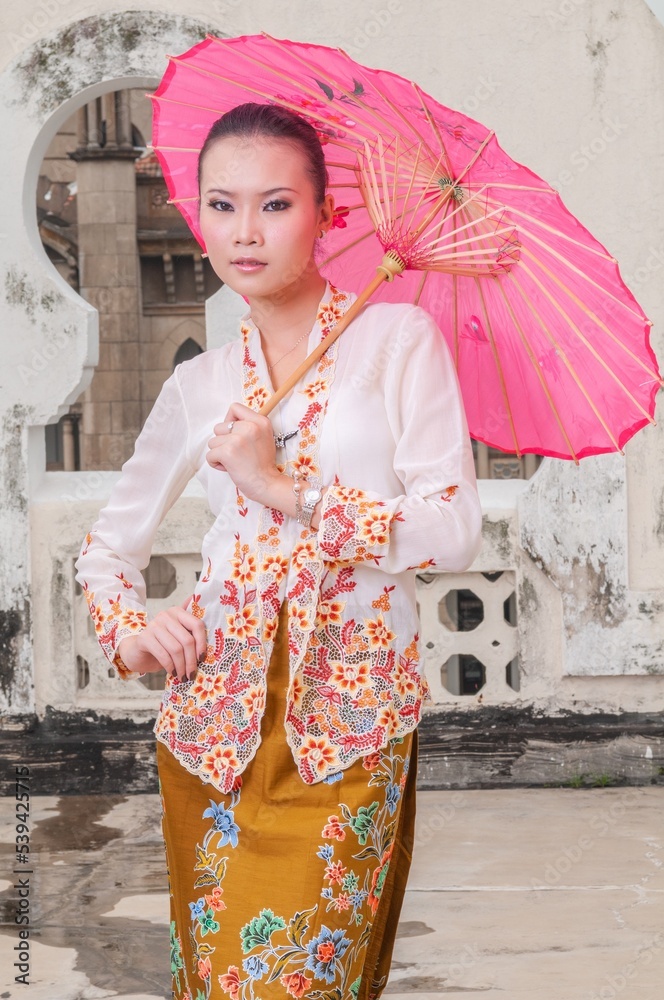 Fashion portrait photo of a beautiful elegant young asian female lady ...