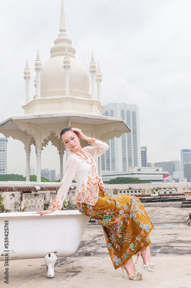 Fashion portrait photo of a beautiful elegant young asian female lady ...