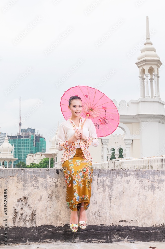 Foto Stock Fashion portrait photo of a beautiful elegant young asian ...