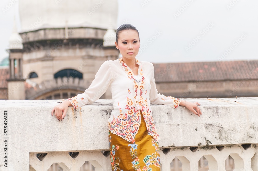 Fashion portrait photo of a beautiful elegant young asian female lady ...