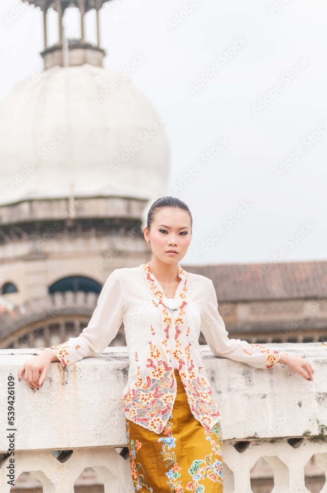 Fashion portrait photo of a beautiful elegant young asian female lady ...