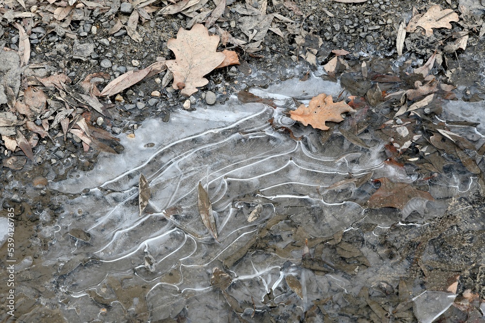 Foto de flaque d'eau gelée formant une épaisse couche de glace avec ...