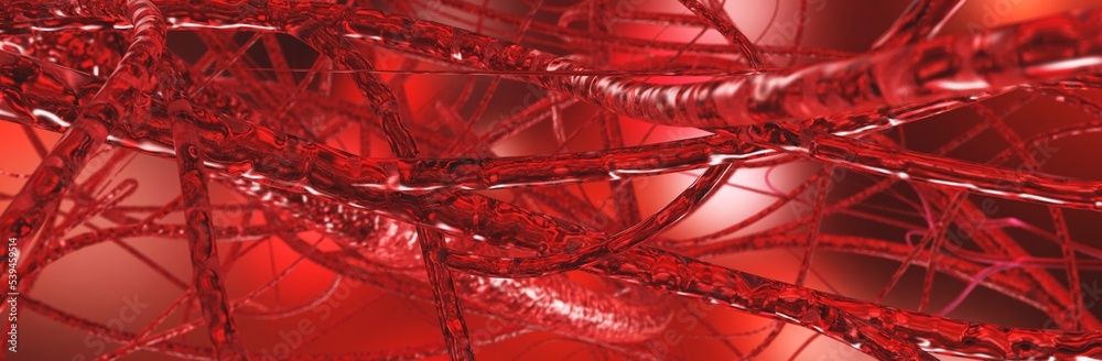 Anatomical abstract background, veins and arteries, human circulatory ...