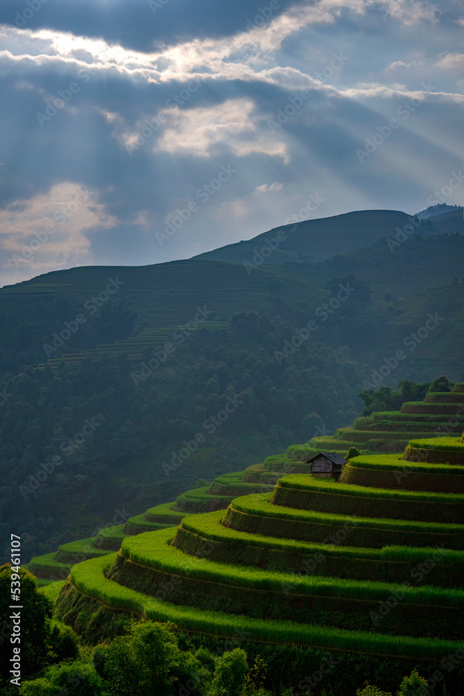 Beautiful scenery of rice terrace fields at Mu Cang Chai in northern ...