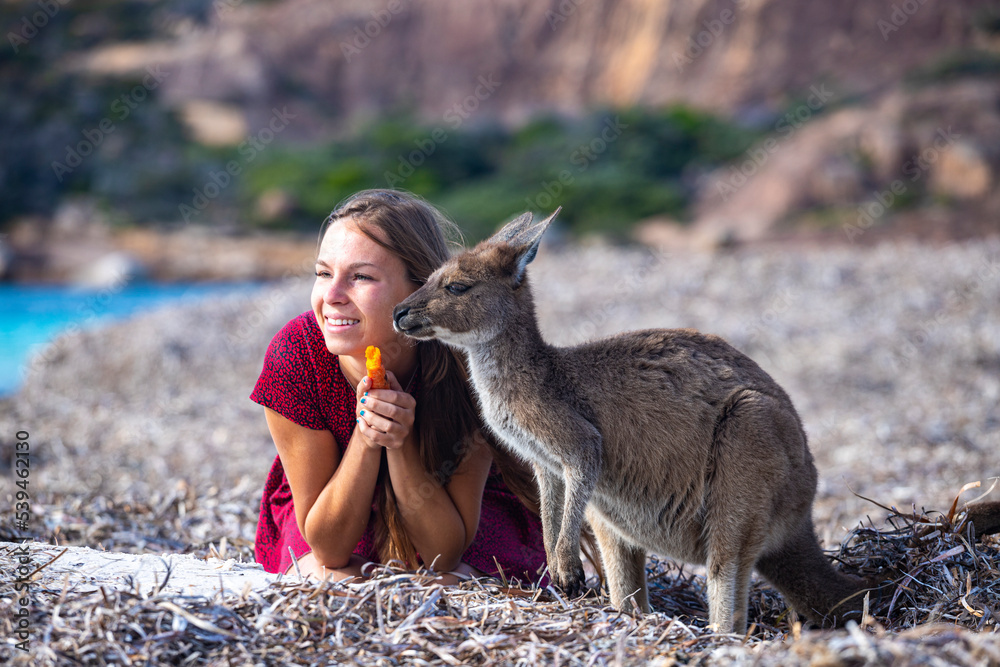 girl in dress feeds, petts and cuddles wild kangaroo on lucky bay beach ...