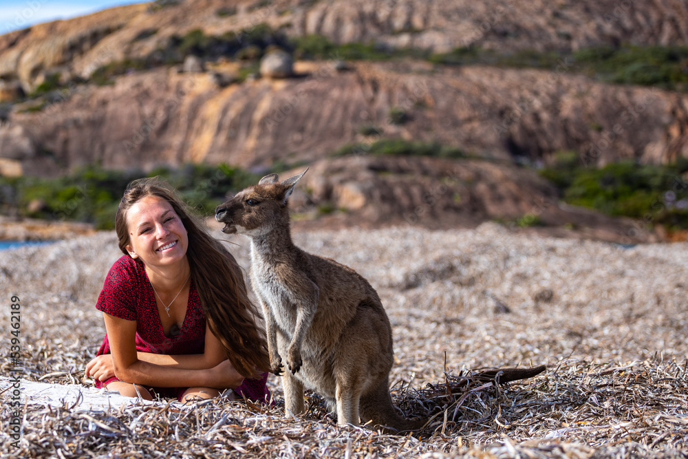 girl in dress feeds, petts and cuddles wild kangaroo on lucky bay beach ...