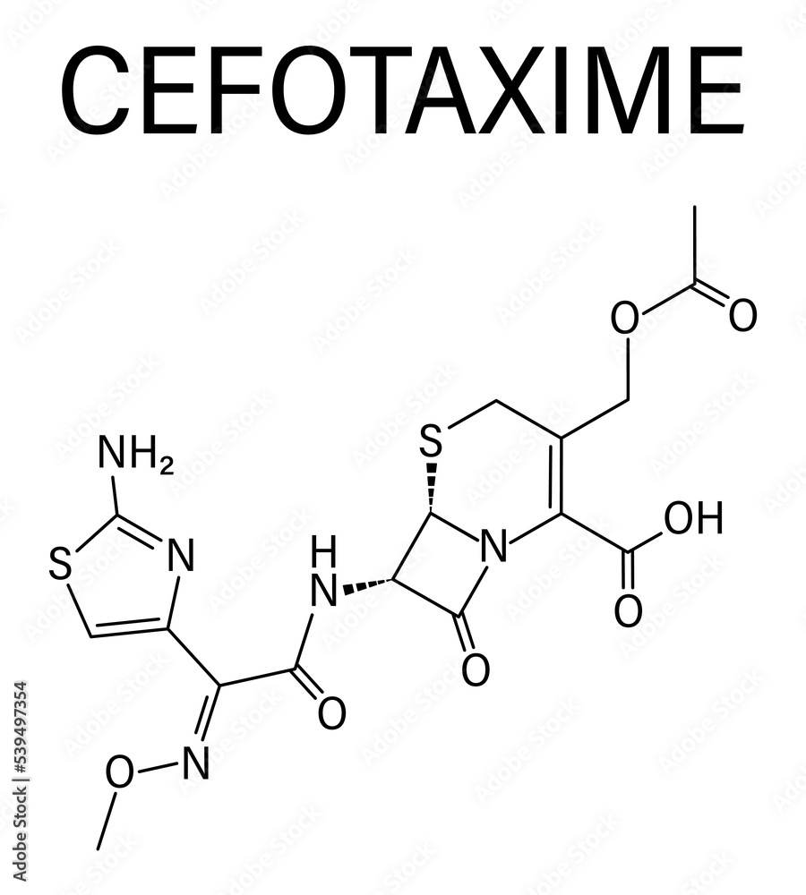 Cefotaxime antibiotic drug molecule (cephalosporin, third generation ...