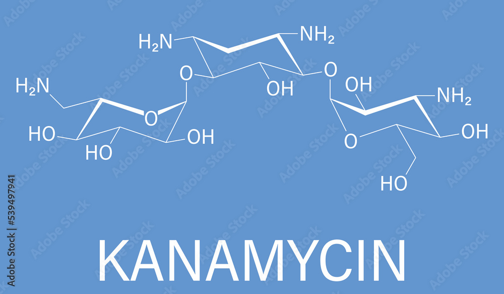 Kanamycin antibiotic drug molecule (aminoglycoside). Skeletal formula ...