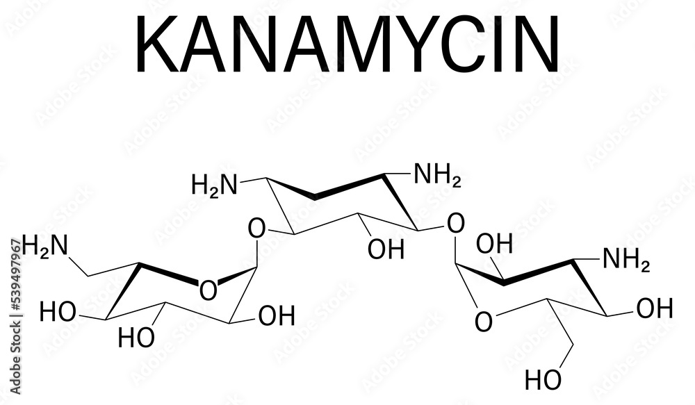 Kanamycin antibiotic drug molecule (aminoglycoside). Skeletal formula ...