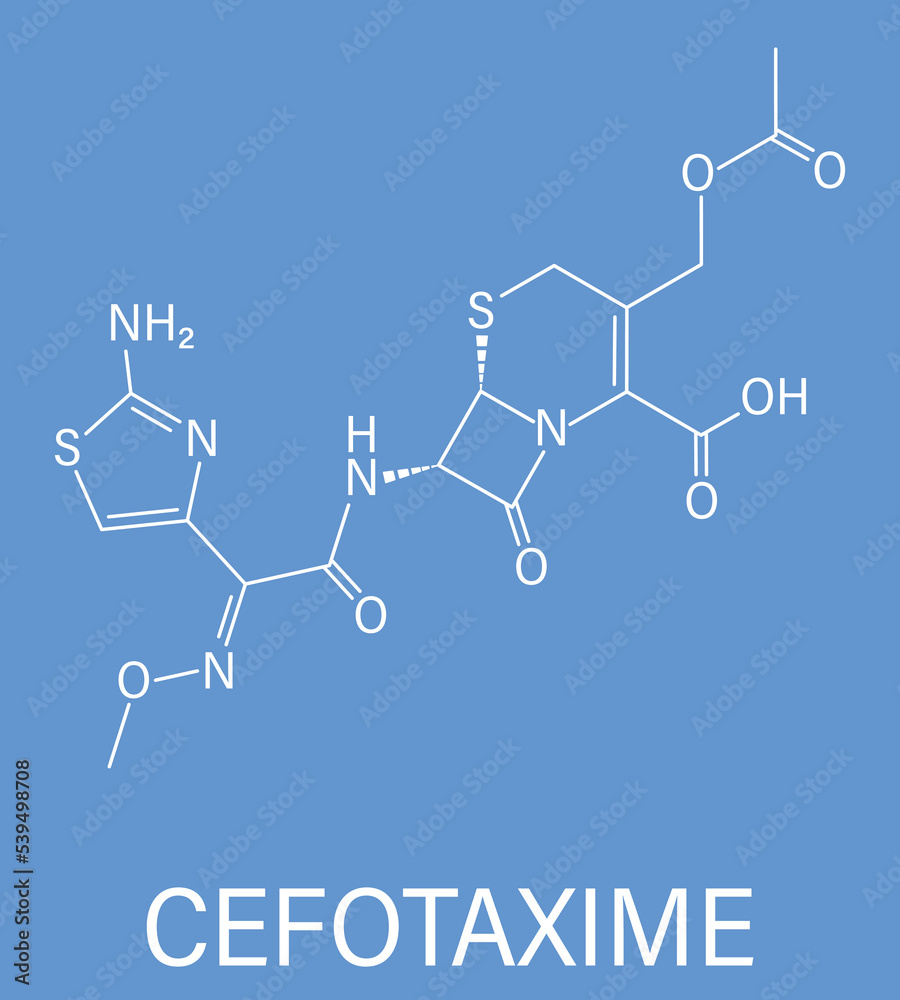 Cefotaxime antibiotic drug molecule (cephalosporin, third generation ...