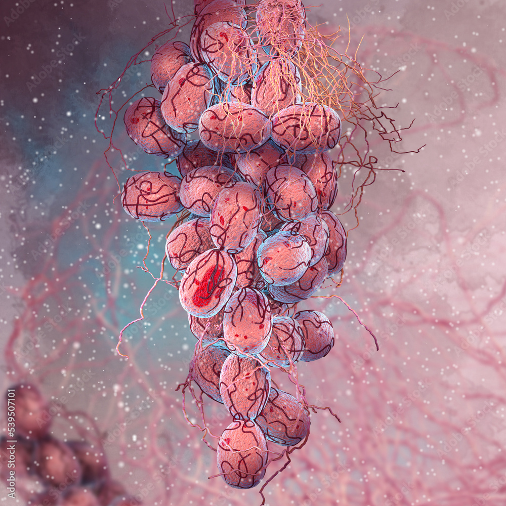 Medical background, Escherichia coli, gram-negative rod-shaped bacteria ...