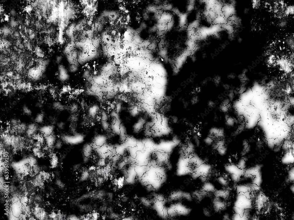 Abstract monochrome background with random blurred white shapes and ...