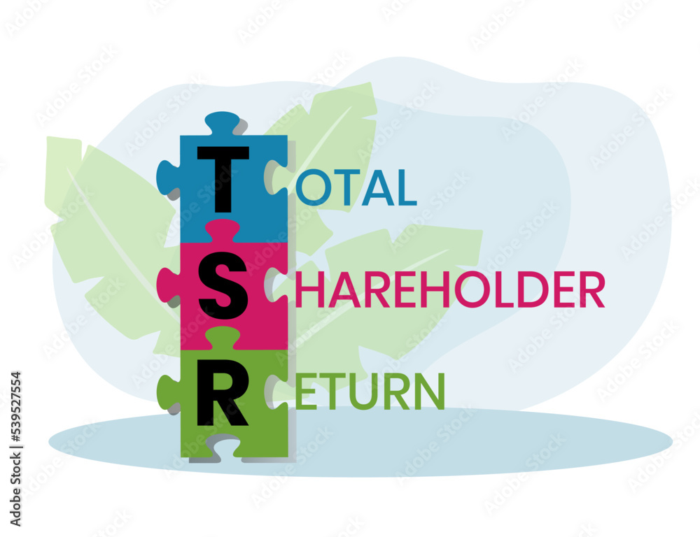 TSR - Total Shareholder Return. business concept background. vector ...