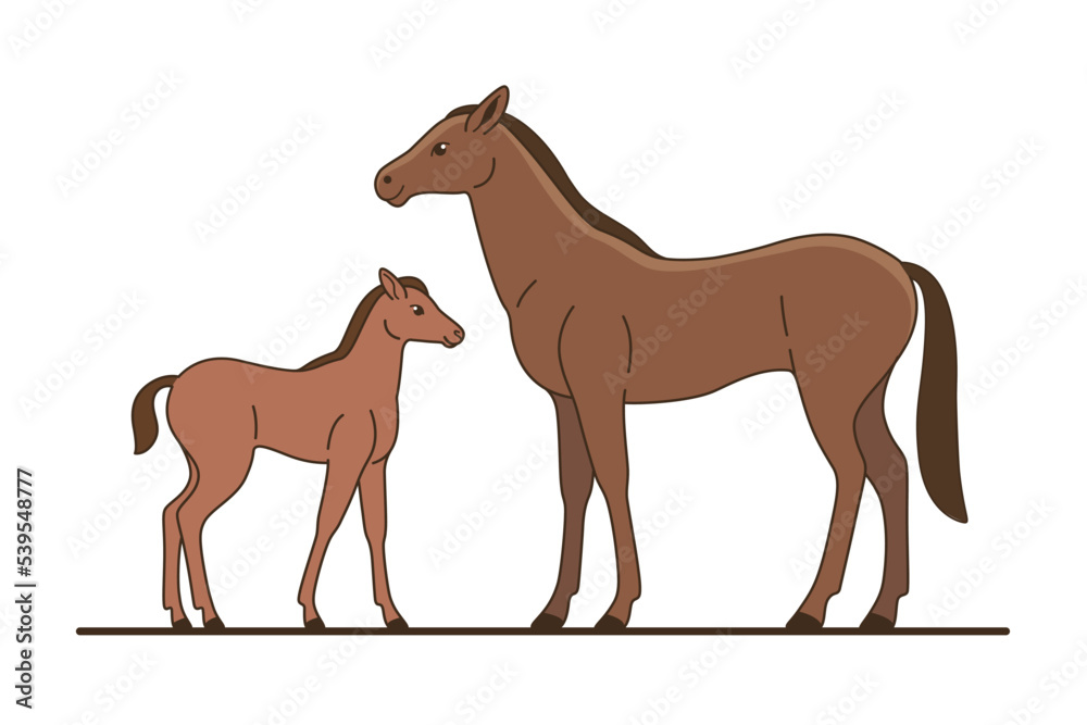 Horse and young colt. lllustration of mom and her baby. Vector ...