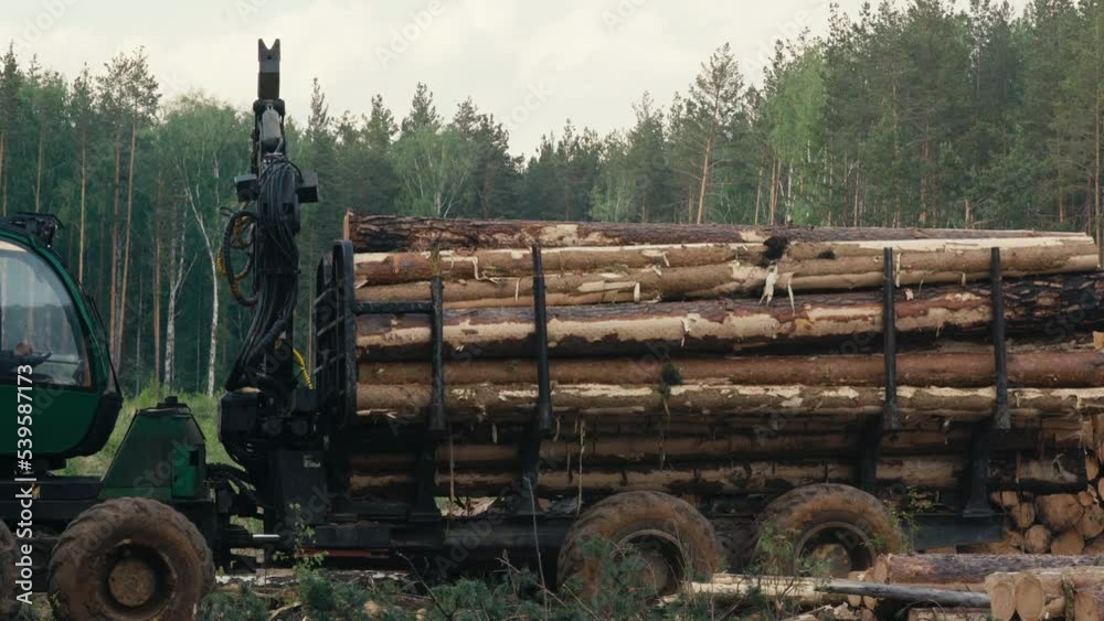 Industrial Logging Crane Machine Stacking Lumber Material In A Cargo ...