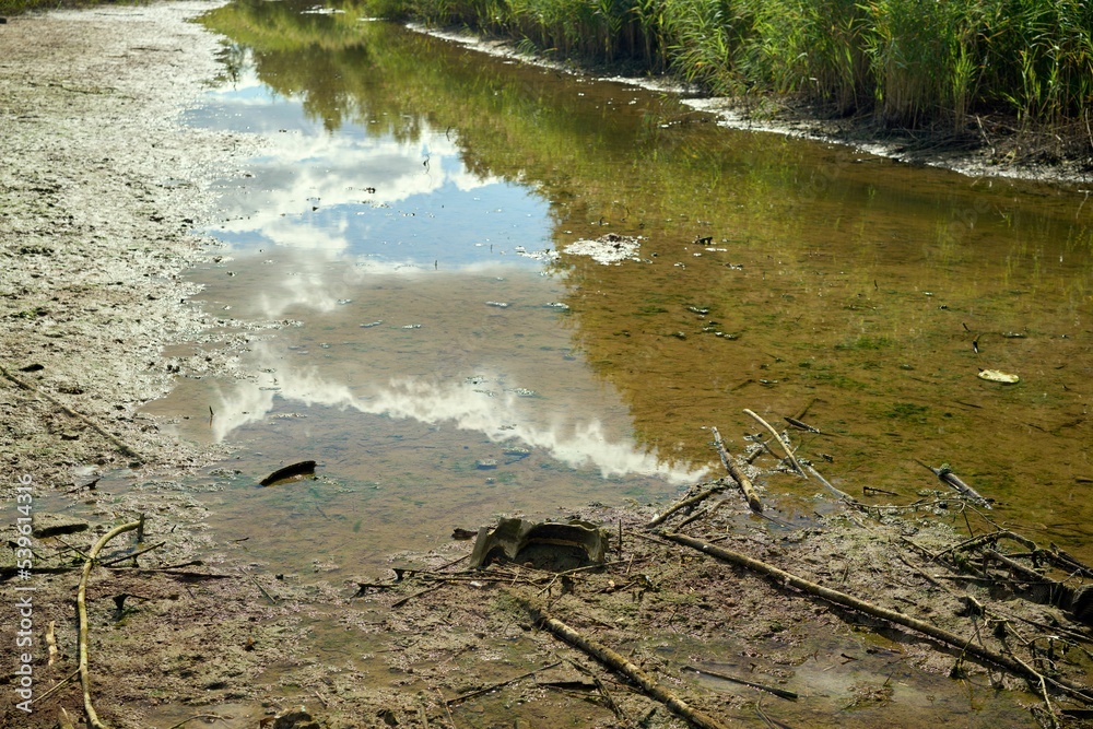 Dirty and muddy riverbed with clouds and vegetation reflecting on the ...