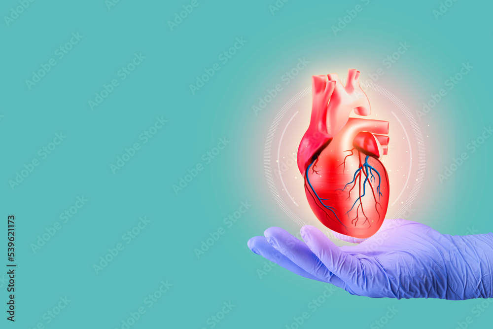 Hand and human heart on isolated green background, . Cardiology and ...