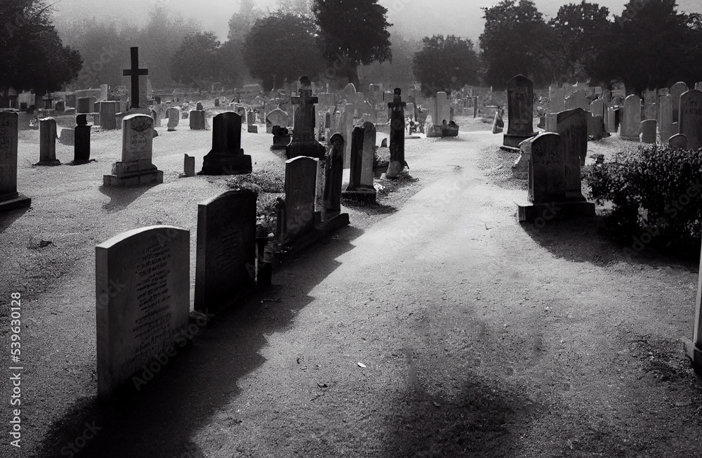 Poster Cementerio, lápidas y árboles tenebrosos halloween – Wall Art ...