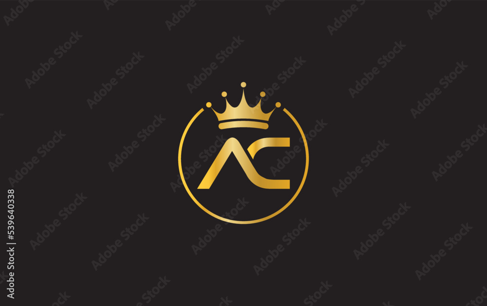 Royal vintage golden jewel crown vector and golden crown logo and ...