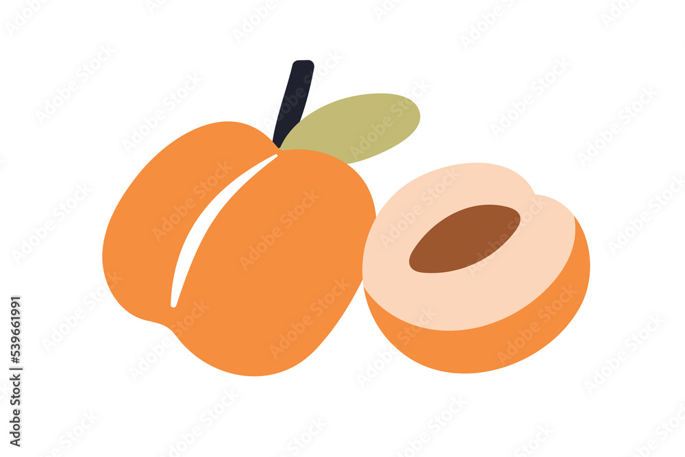 Apricot cut half and whole fruit. Fresh orange berry cross-section ...