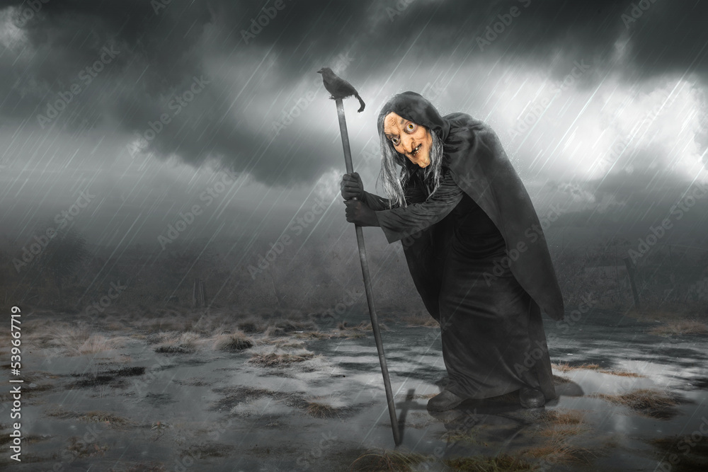 Old witch in a cloak with a stick and a crow standing on the field ...