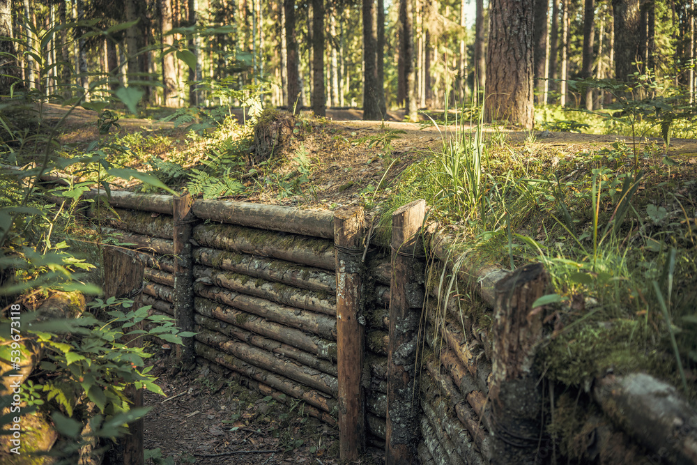 Defensive fortification in the forest. The historical line of the ...
