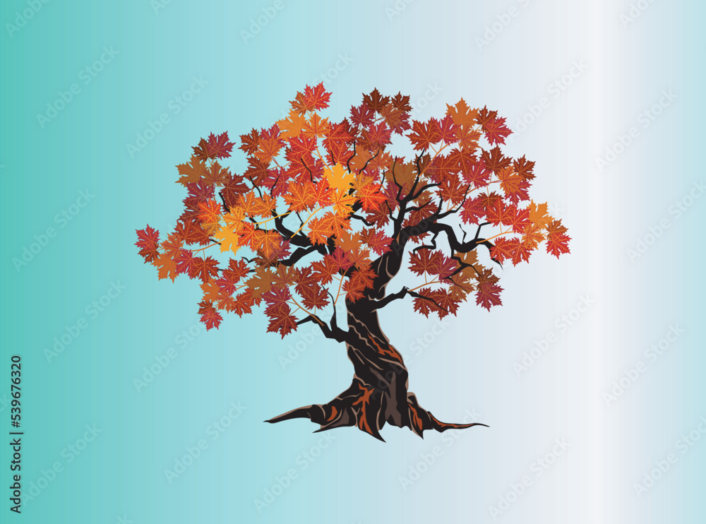 gorgeous maple tree vector illustration beautiful growing tree logo ...
