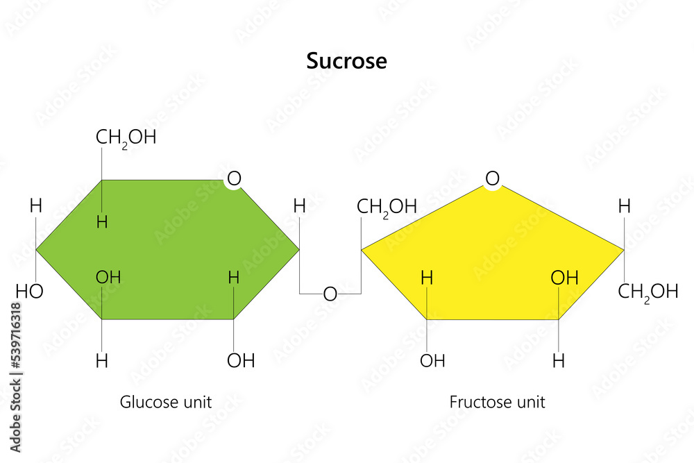 Sucrose, a disaccharide, is a sugar composed of glucose and fructose ...