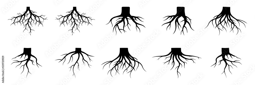 Old dark tree roots. Vector illustration Stock Vector | Adobe Stock