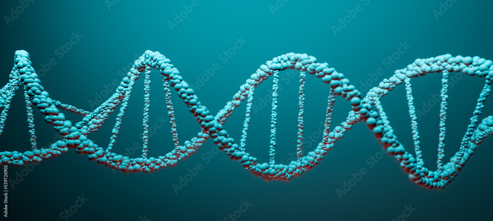 DNA Deoxyribonucleic acid, structure of double helix molecule ...