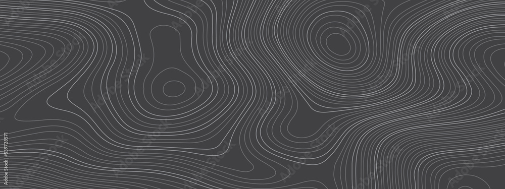 The stylized white and black abstract topographic map contour, lines ...