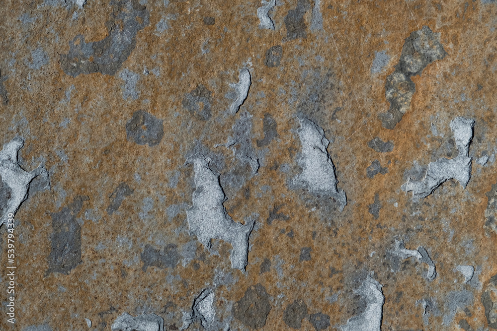 Porcelain wall tile texture Stock Photo | Adobe Stock