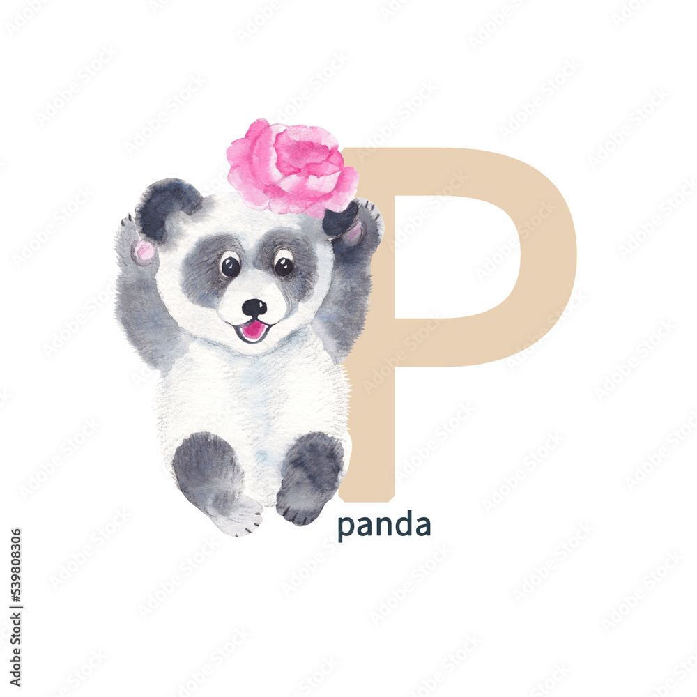 Letter P, panda with peony, cute kids animal ABC alphabet. Watercolor ...