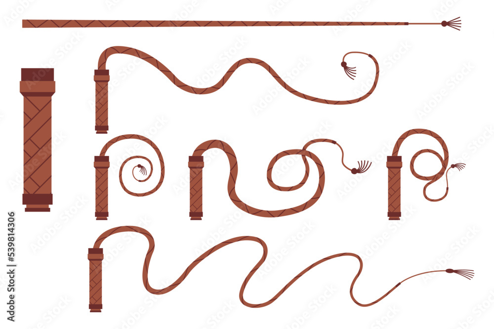 Whip vector cartoon set isolated on a white background. Stock Vector ...