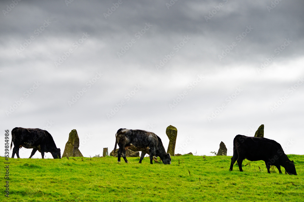 Bocan Stone Circle at Glackadrumman, Inishowen, Donegal, Ireland. Large ...