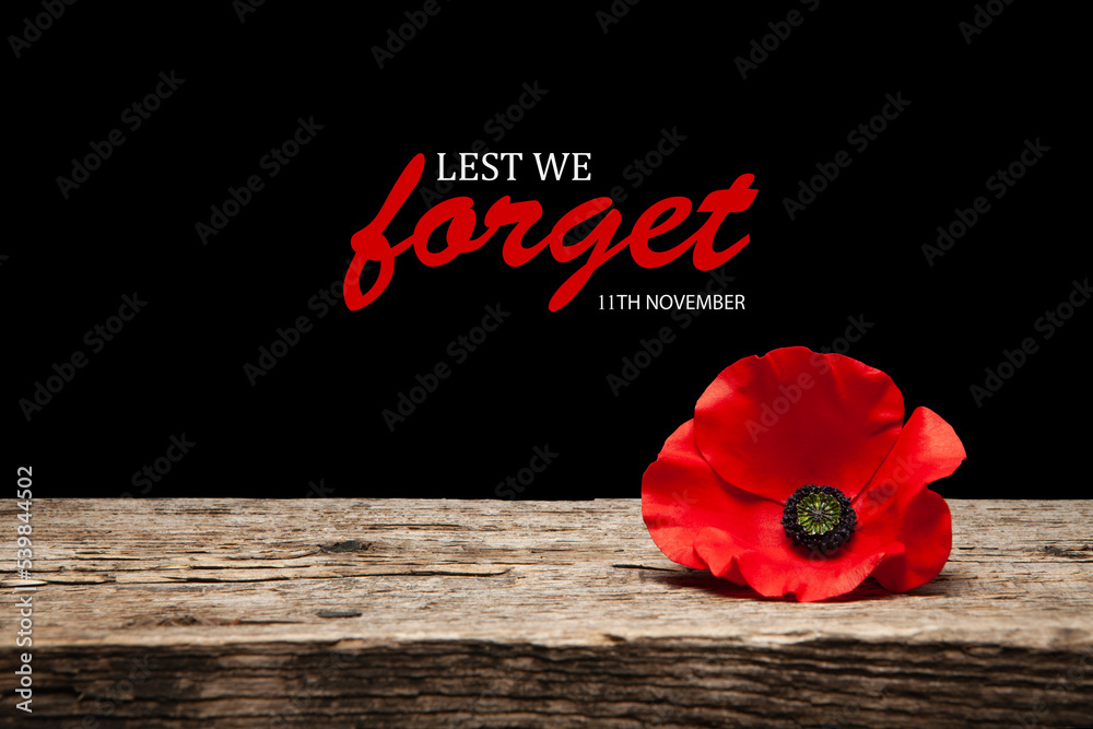 Poppy pin for Remembrance Day. Poppy flower on old beautiful high grain ...