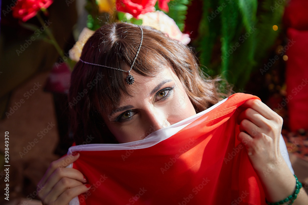 Portrait of arabian girl or woman in red room with rich fabrics and ...