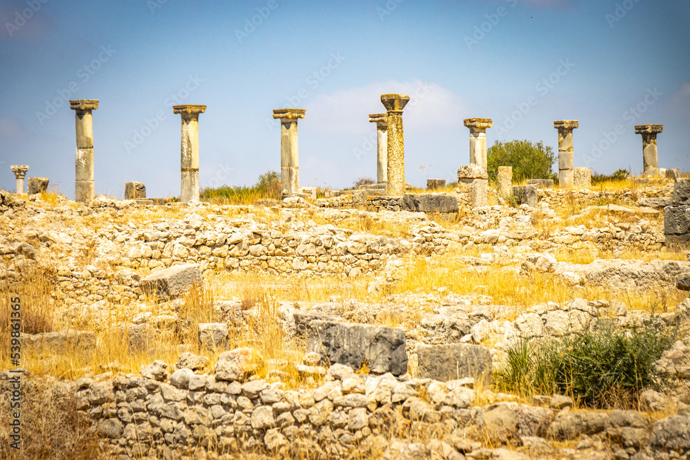 roman ruins, arches, pillars, volubilis, morocco, north africa, columns ...