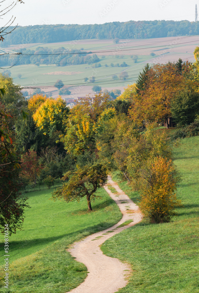 Winding path with trees in fall colors in Germany, Stock Photo | Adobe ...