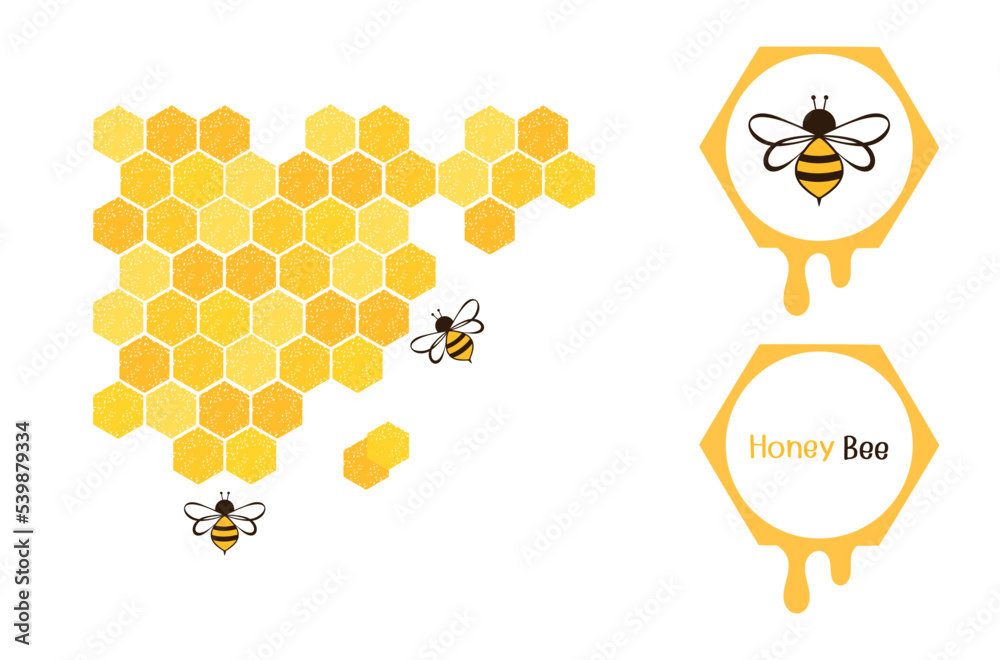 Hexagon honey sign logo with bee cartoon isolated on white background ...