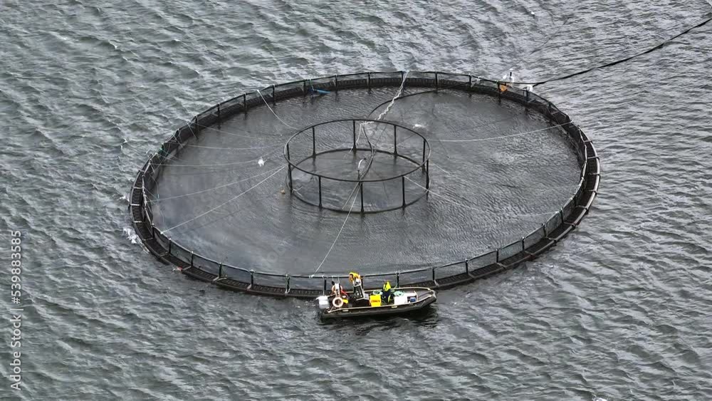 Sea Farm Aquaculture Nets in the Ocean Used for Intensive Fish Farming ...