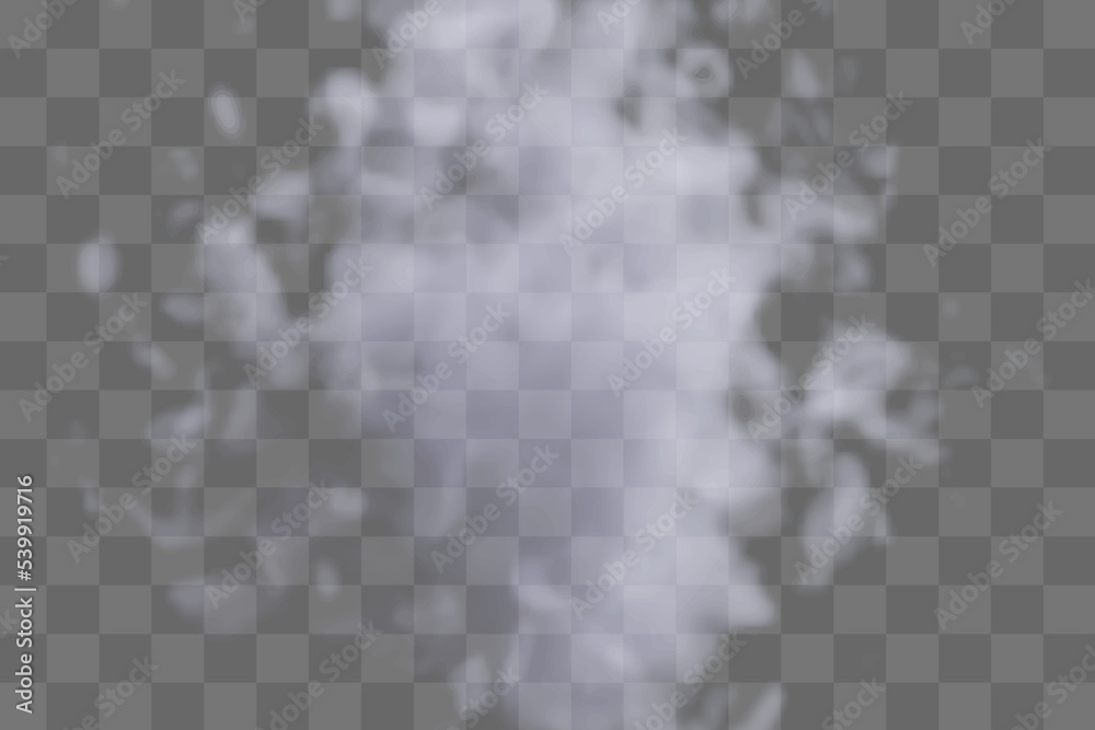 Fog or smoke isolated transparent special effect. White vector ...