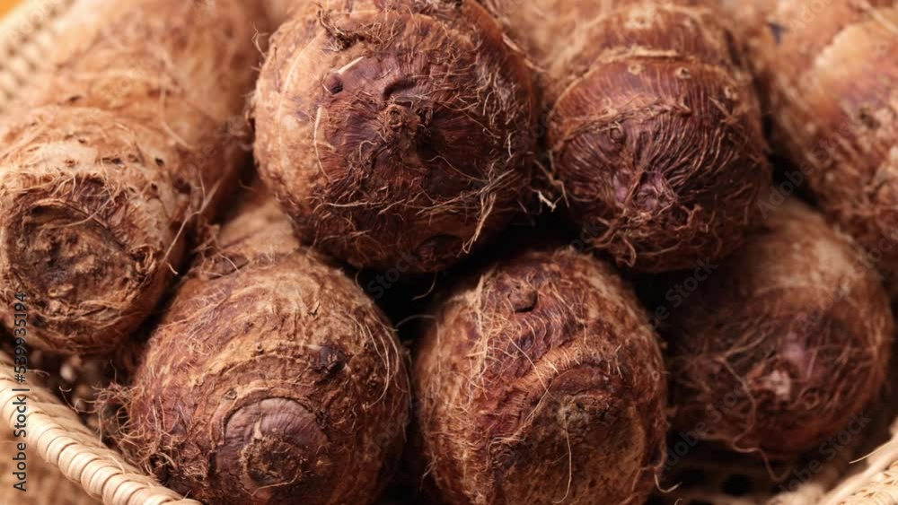 fresh organic taro root rotation Stock Video | Adobe Stock