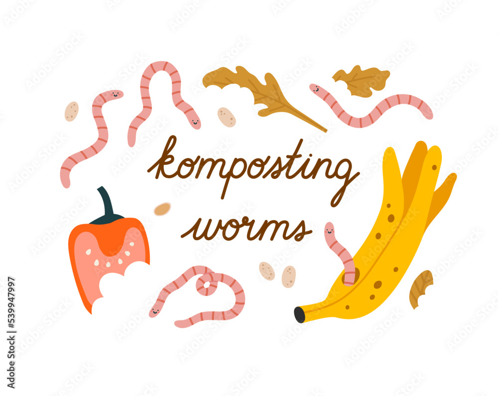 Composting worms with banana peel, piece of pepper, leaves, and nuts ...