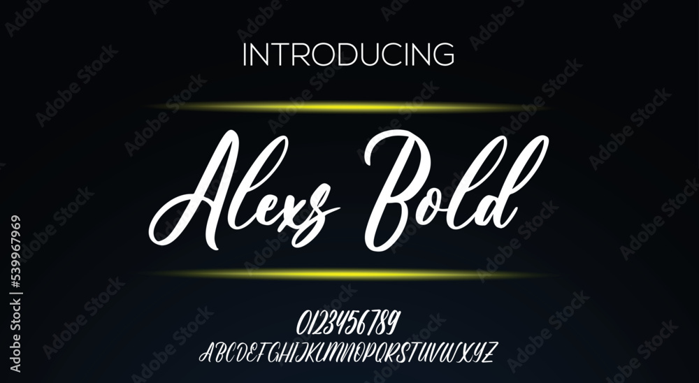 ALEXS BOLD Signature Font Calligraphy Logotype Script Font Type Font ...