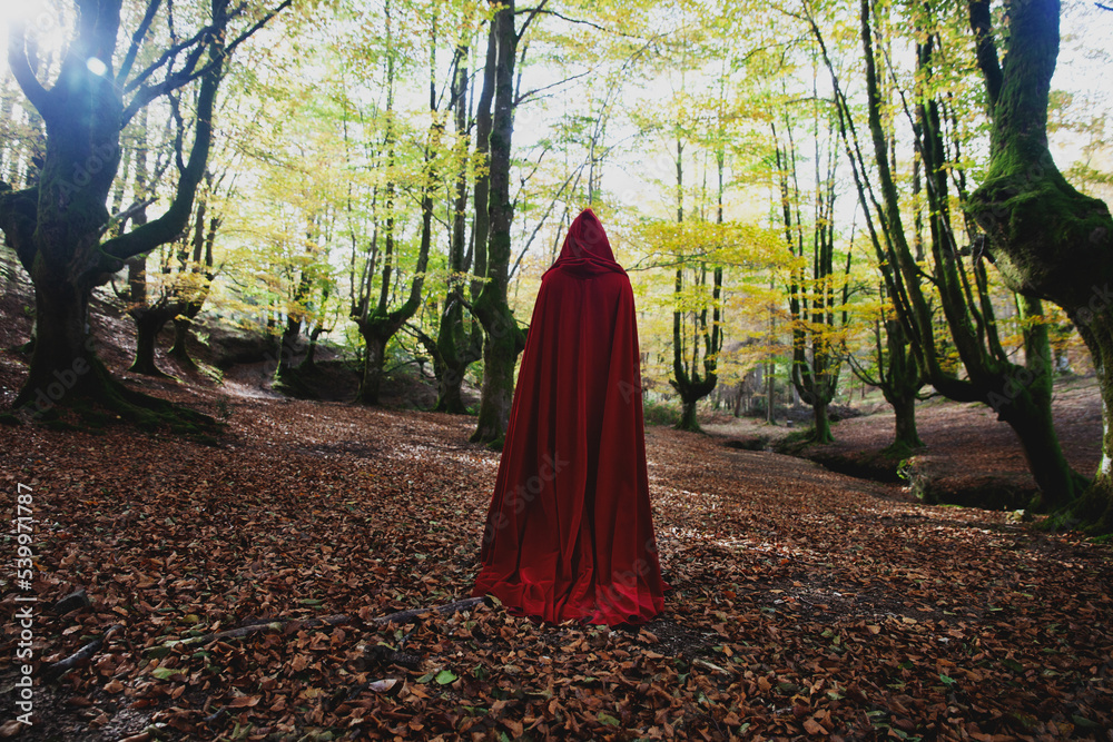 A person with his back turned and wearing a long red cape stands in the ...