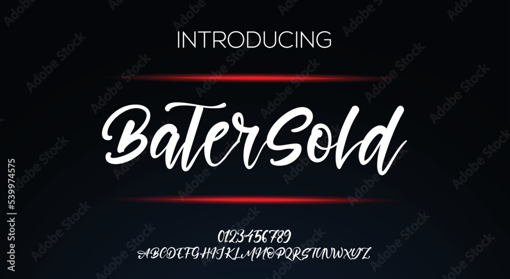 BATER SOLD Signature Font Calligraphy Logotype Script Font Type Font ...